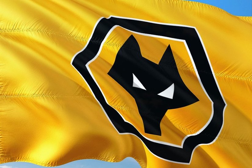 Joe Hodge relishing learning off his fellow Wolves midfielders: ‘They ...